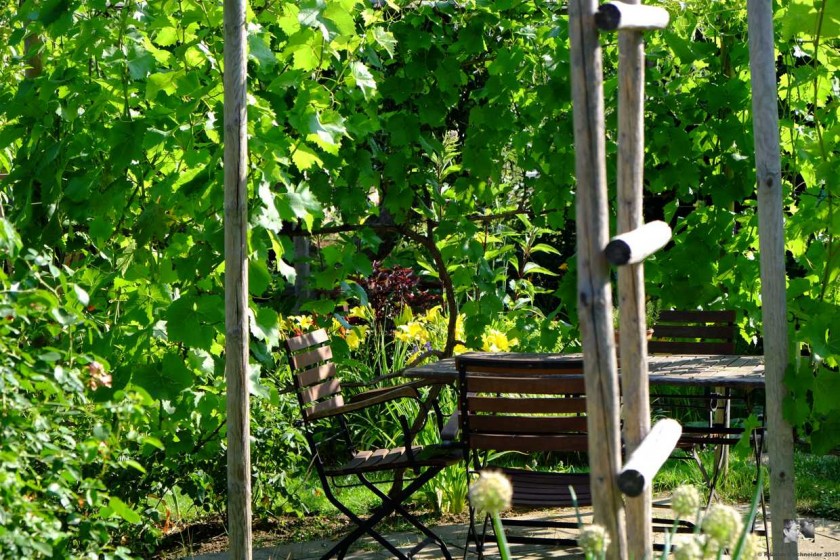 Interview: Sabines wunderschöner Selbstversorger-Garten – berlingarten