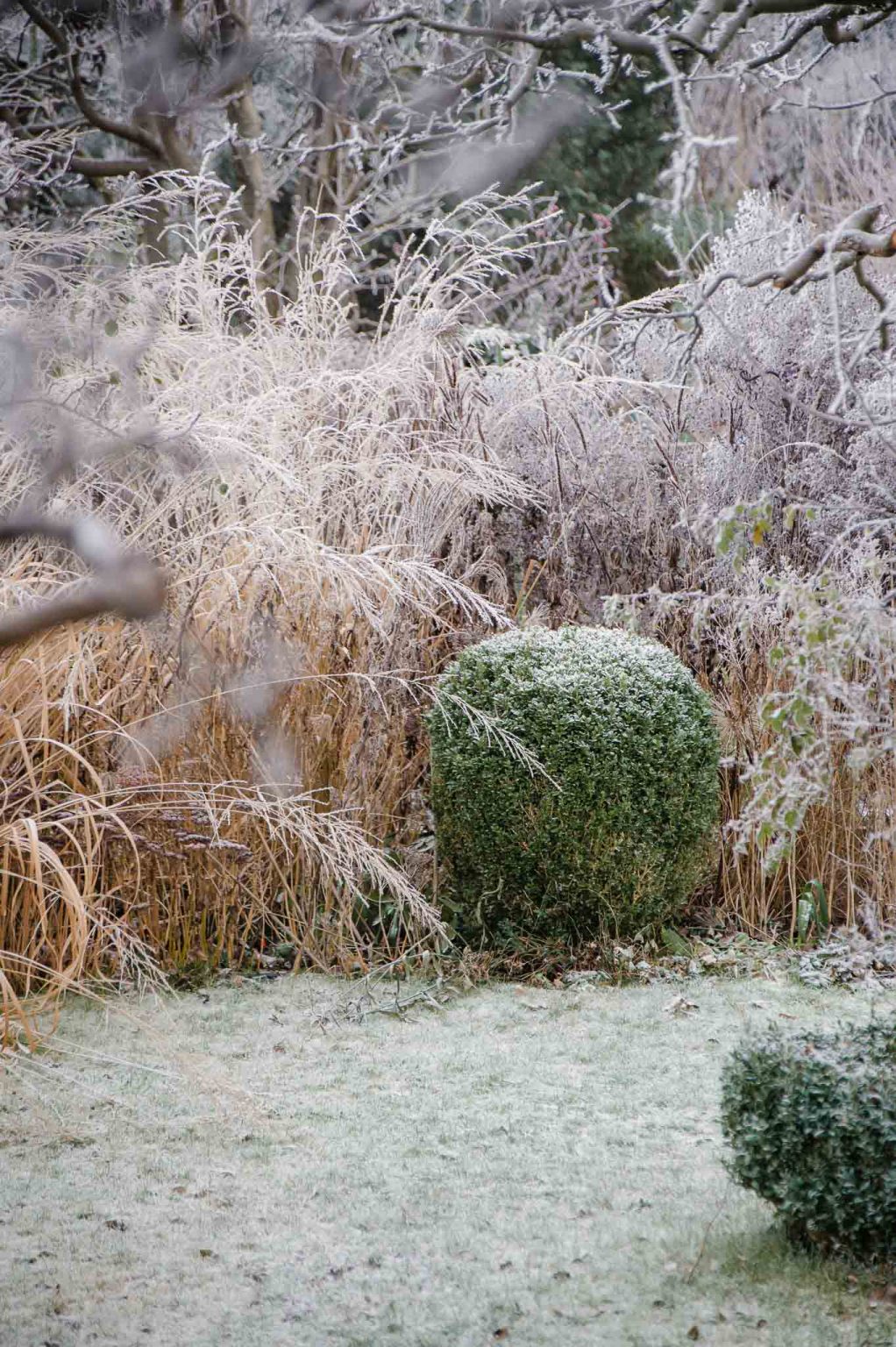 Der Garten im Winter: 6 Tipps, die ihn schöner machen