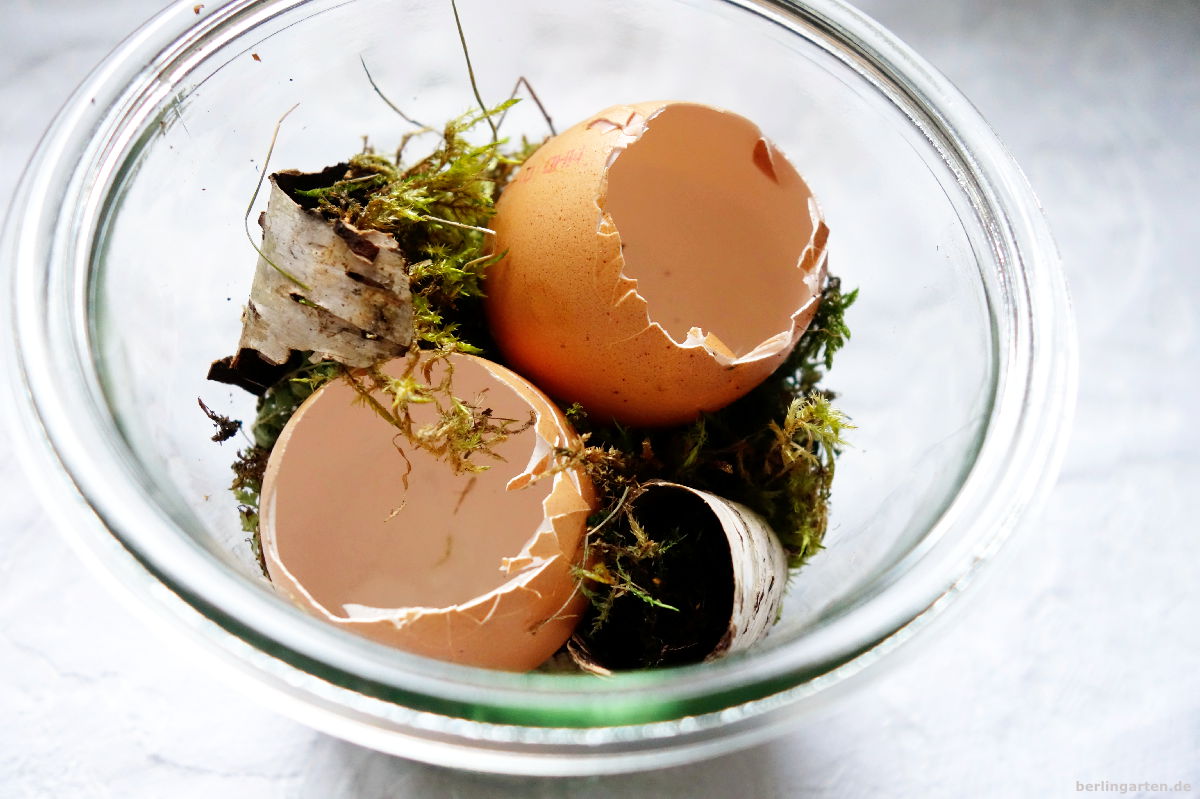 Osterdeko auf die Schnelle: Eierschalen als Vasen mit Hornveilchen ...