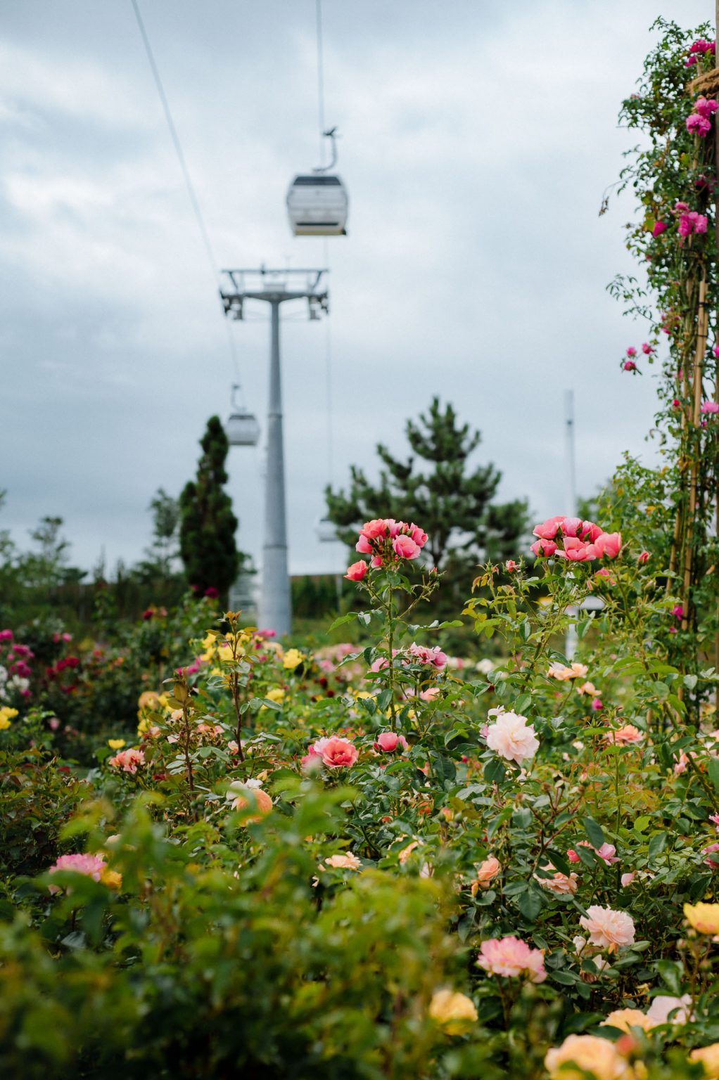 Floriade Holland: Inspiration für nachhaltiges Gärtnern