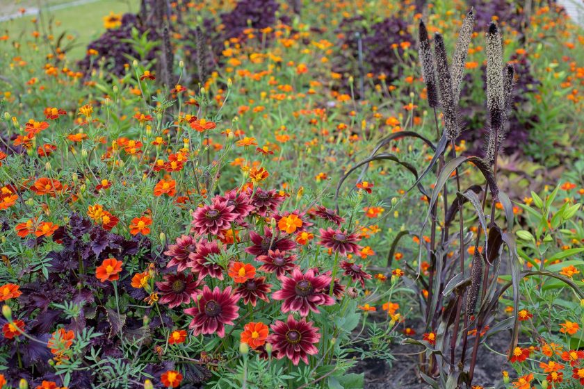 Floriade Holland: Inspiration für nachhaltiges Gärtnern