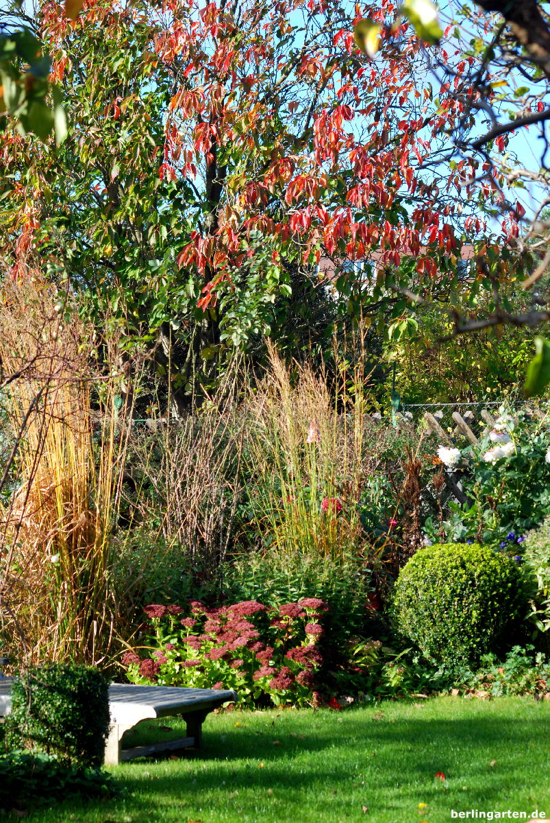 Farbstarker Herbst mit Blüten, Blättern und Früchten in orange