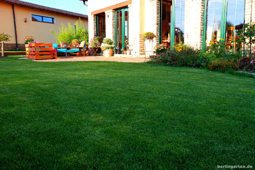Perfekte Rasenpflege - so individuell wie dein Garten – berlingarten