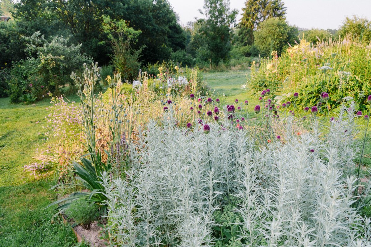 Sandbeet anlegen: passende Pflanzen, richtiges Vorgehen – berlingarten