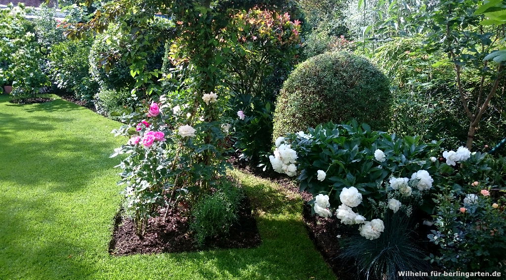 Interview: Wilhelm verrät seine Tipps zur Rasenpflege