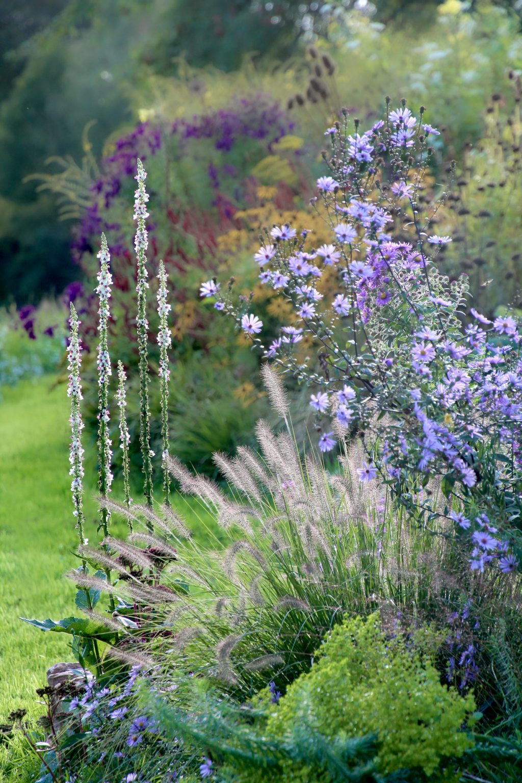 Sandbeet anlegen: passende Pflanzen, richtiges Vorgehen – berlingarten