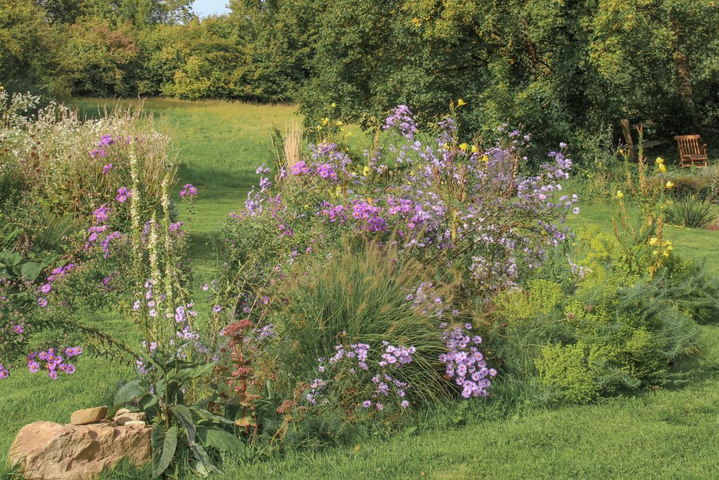 Sandbeet anlegen: passende Pflanzen, richtiges Vorgehen – berlingarten