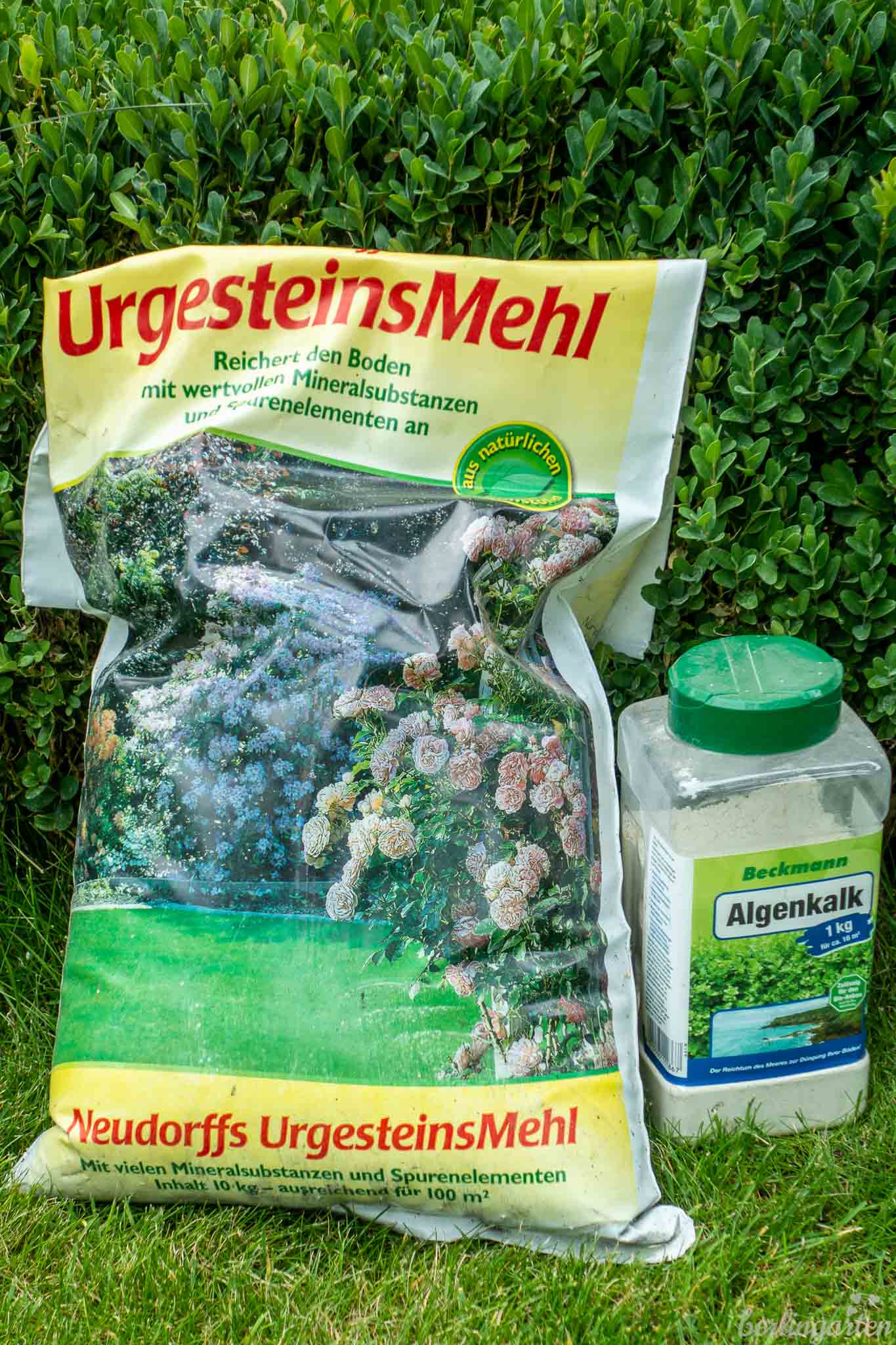 Hausmittel Gegen Buchsbaumzãƒâ¼nsler