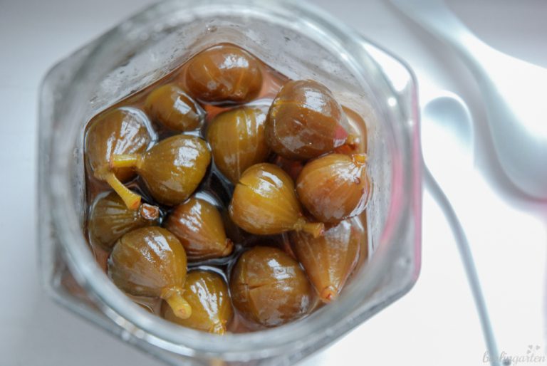 Rezepte Unreife Feigen